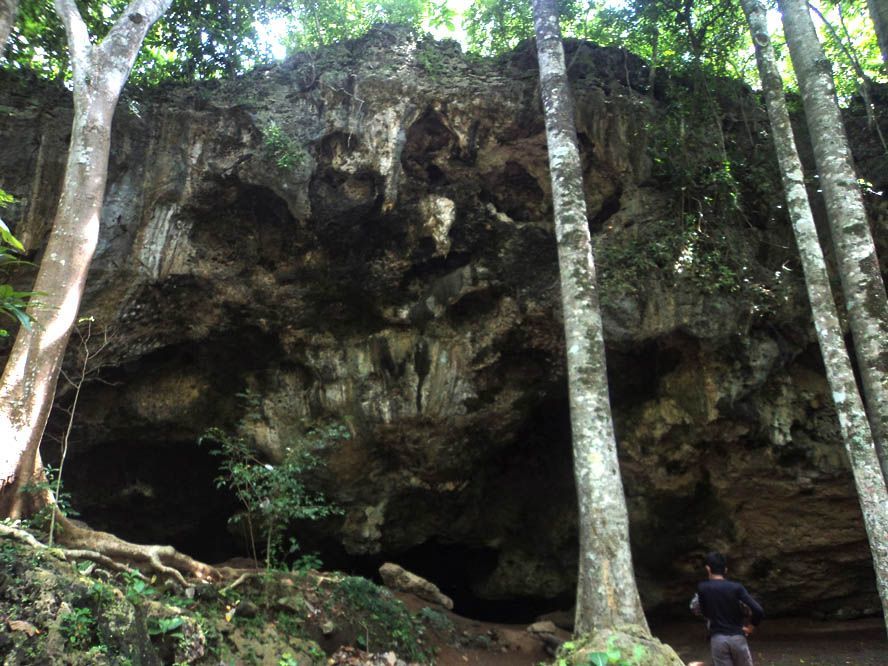 11 Destinasi Wisata Ponorogo, Pesona Alam yang Indah Banget