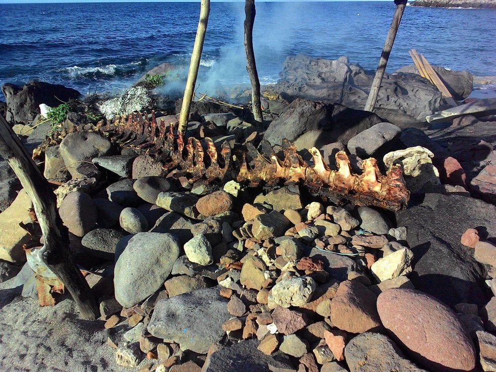 Tradisi Berburu Paus di Lamalera, NTT Menuai Pro-Kontra. Ritual ...