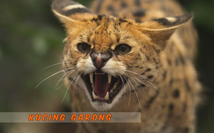 Jangan Panggil Temanmu dengan Sebutan-sebutan Ini. Ada Makna dan ...