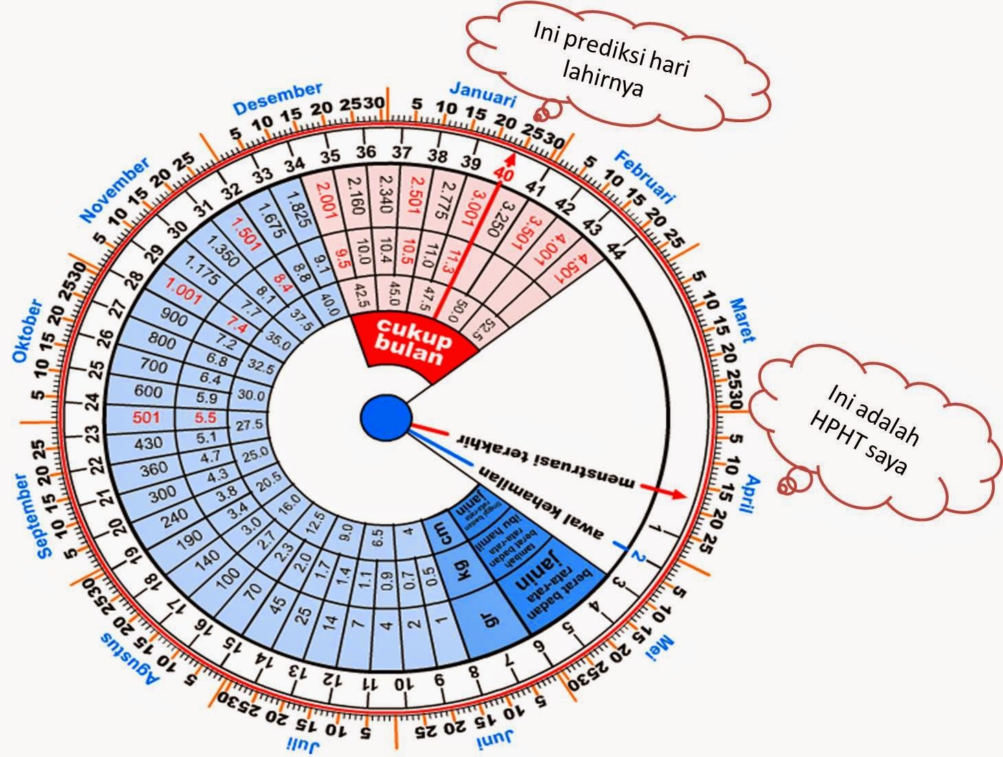 20 Istilah Seputar Kehamilan yang Perlu Diketahui, Biar Nggak Bingung ...