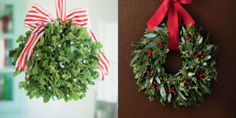 Rekomendasi Tanaman Hias untuk Meriahkan Suasana Natal. Cantik, Nggak ...