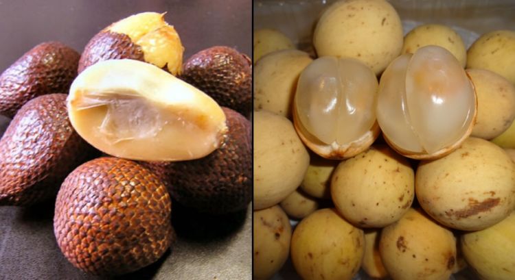 Kalender Musim Buah di Indonesia, Berbagai Jadwal Panen Buah