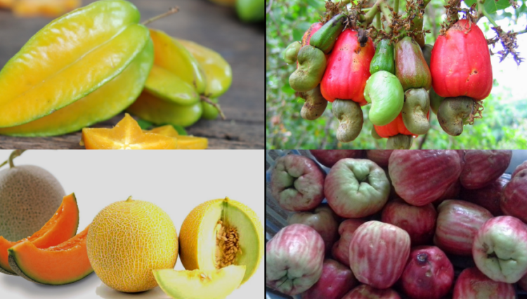 Kalender Musim Buah di Indonesia, Berbagai Jadwal Panen Buah