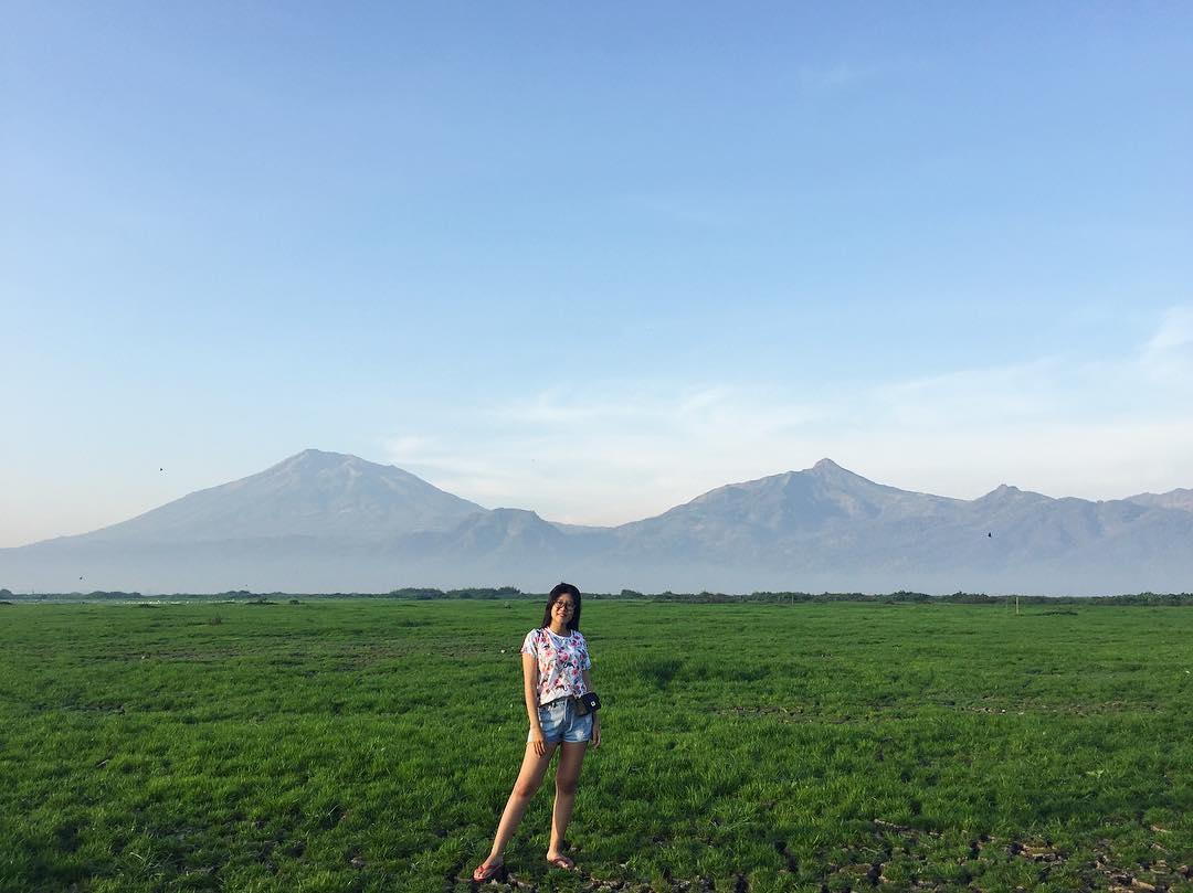 New Sabana Rawa Pening, Destinasi Instagramable yang Muncul Akibat Rawa ...