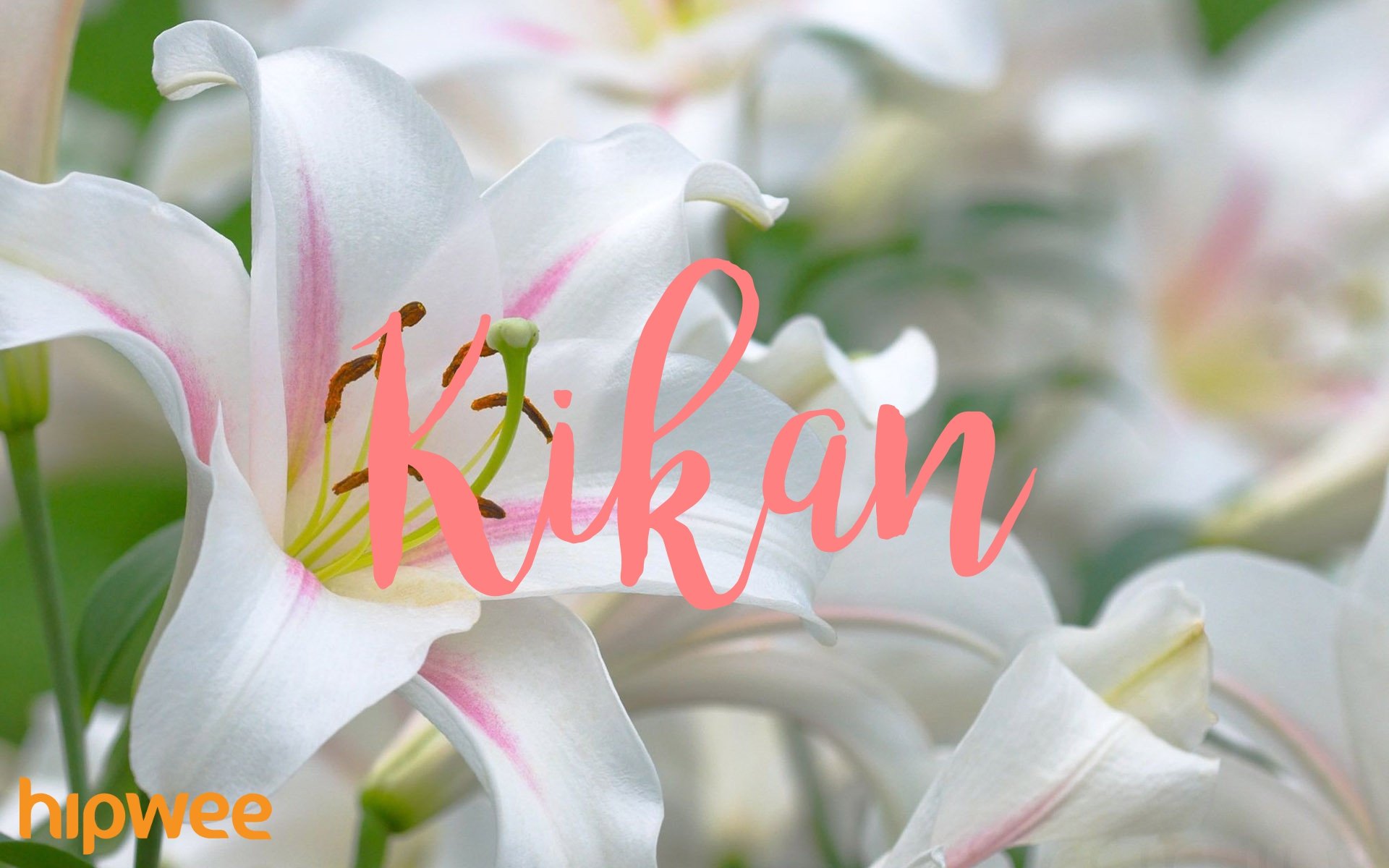 14+ Inspirasi Nama Bayi Perempuan Berdasarkan Nama Bunga Mancanegara ...