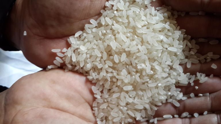 8 Jenis Beras Lokal Indonesia Mulai dari Punel hingga Pera