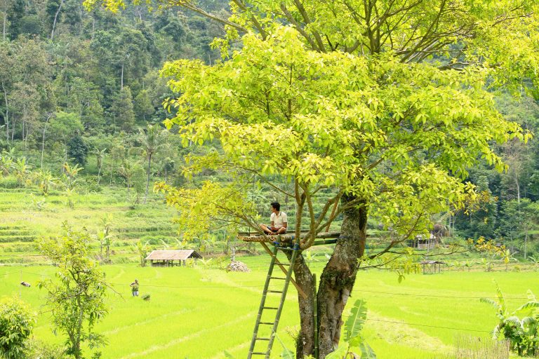 Desa Wisata Sepakung, Spot Wisata Hits yang Memacu Adrenalin di ...