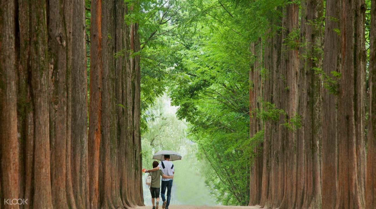 9 Alasan Kenapa Kamu Harus Liburan ke Nami Island, Korea Selatan. Yuk ...