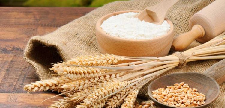 8+ Macam-Macam Tepung Lengkap dan Kegunaannya