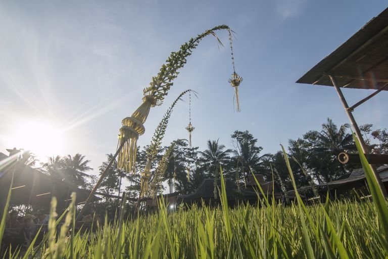 Mengenal Makna Penjor yang Sebenarnya. Lebih dari Sekadar Penanda ...
