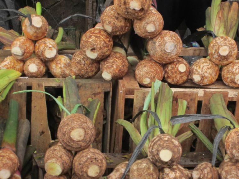 5 Cara Mengolah Talas agar Nggak Gatal Saat Dimakan. Nggak Perlu ...