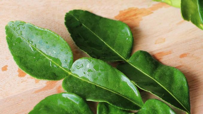 11 Jenis Daun-daunan Pelengkap Masakan, Menambah Aroma Kuat dan Cita ...