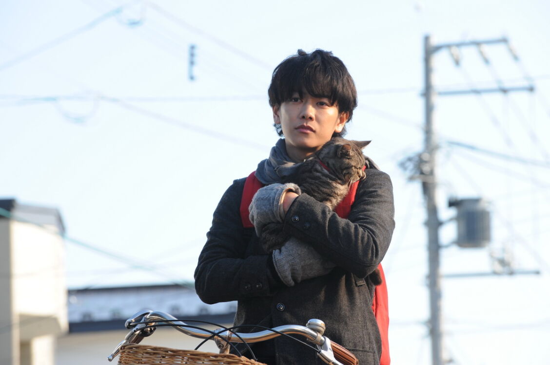 7 Rekomendasi Film Tentang Kucing. Jangan Ngaku Pecinta Kocheng Kalau ...