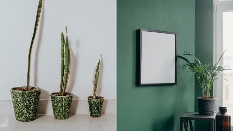 6 Jenis Material Pot Bunga dan Plus Minusnya. Nggak Semuanya Cocok Jadi ...