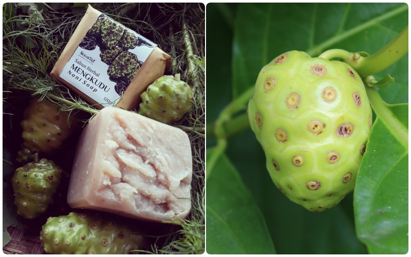 Jadi Rising Star dalam Dunia Skincare, Ini Manfaat Mengkudu untuk ...