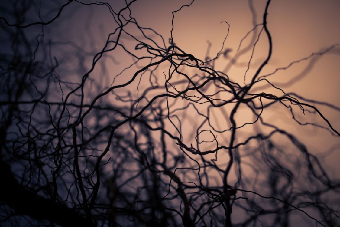 Apa itu Lampor dan Asal Usulnya yang Bikin Geger