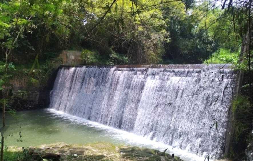 Mengenal Desa Wisata Alam Green Kayen di dekat Pusat Kota Yogyakarta