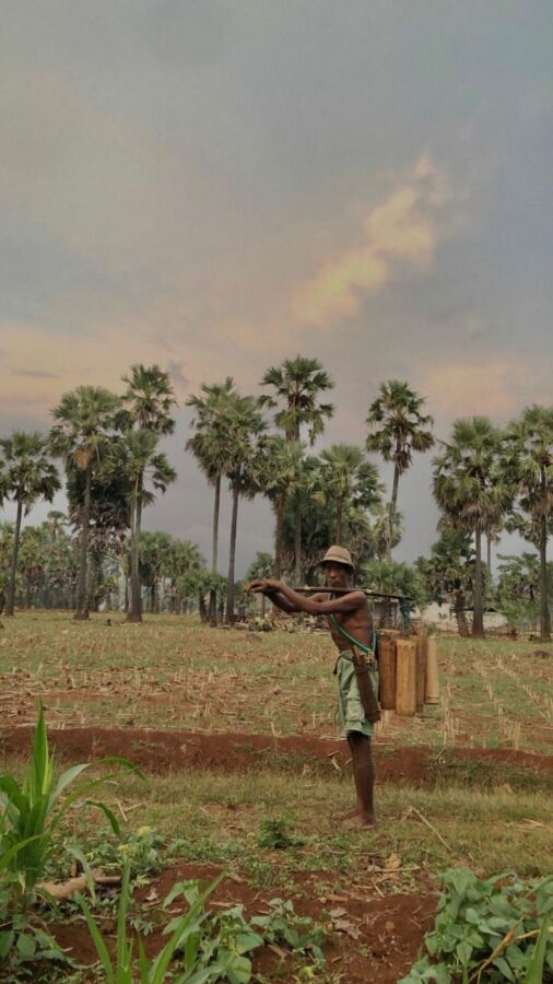 Melirik Tradisi Nitik